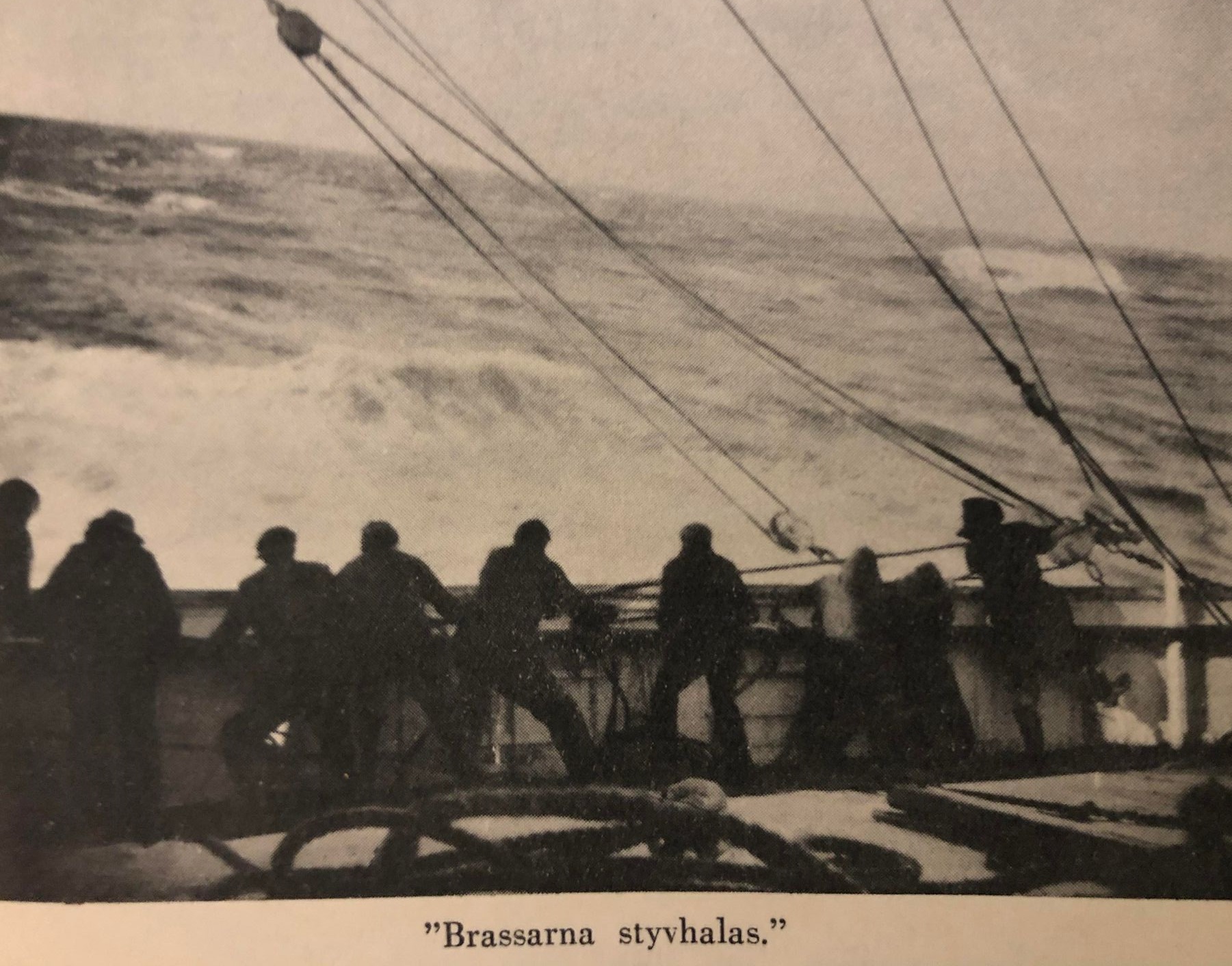 Stamp-n-go Shanty - Traditional Sea Shanties